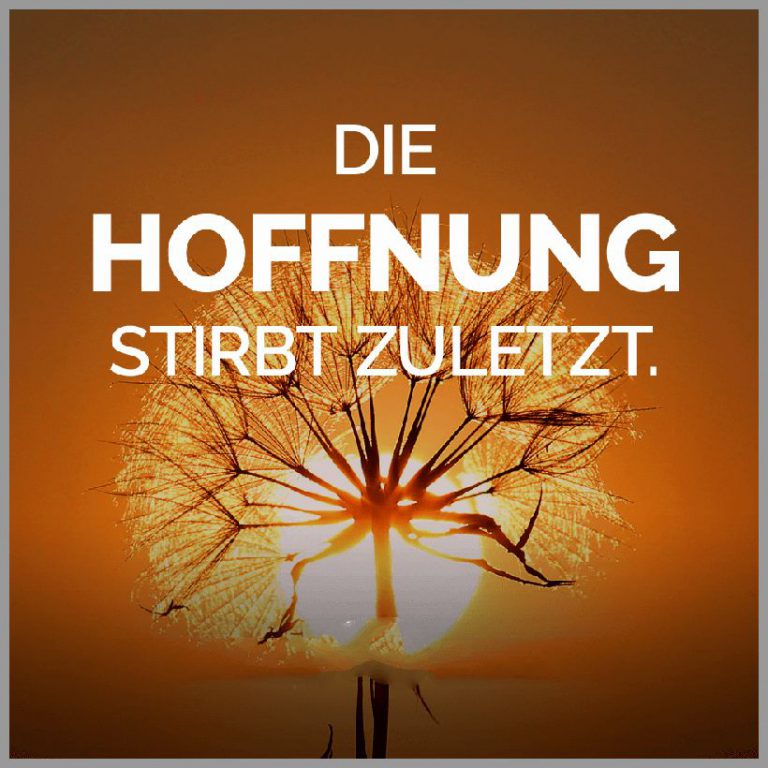 Die hoffnung stirbt zuletzt | Bilder und Sprüche