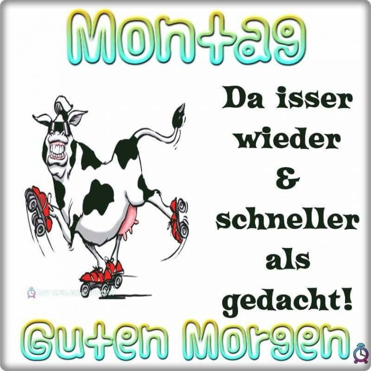 sprüche zum montag morgen | Bilder und Sprüche für Whatsapp und ...