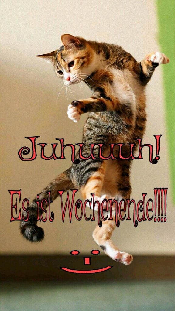 Lustige bilder endlich wochenende | Bilder und Sprüche