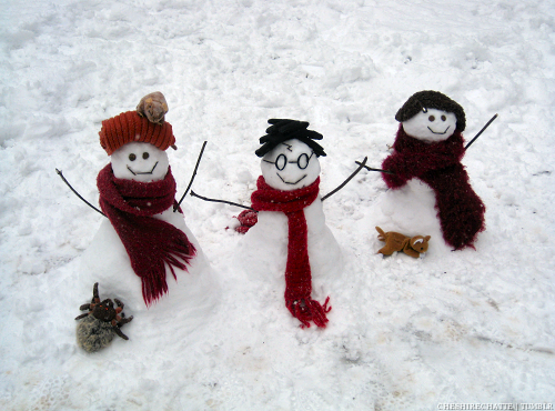 Betrunkener Schneemann | Bilder und Sprüche für Whatsapp und Facebook ... Betrunkener Schneemann | Bilder und Sprüche für Whatsapp und Facebook ...