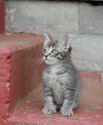 Bild Mail | Bilder und Sprüche