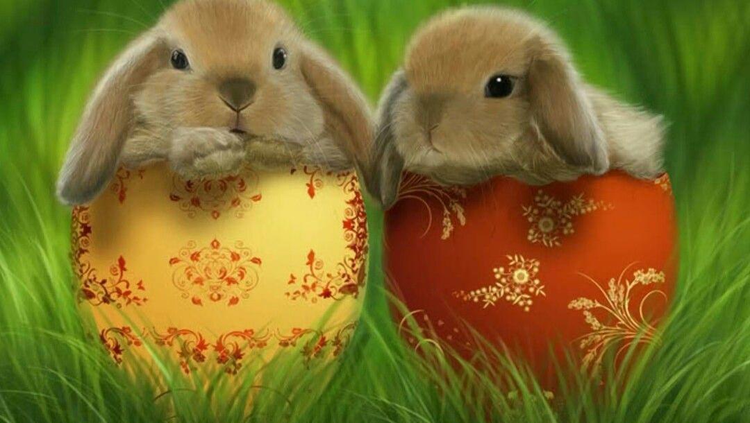 Ostergrüße Familie | Bilder und Sprüche für Whatsapp und Facebook kostenlos